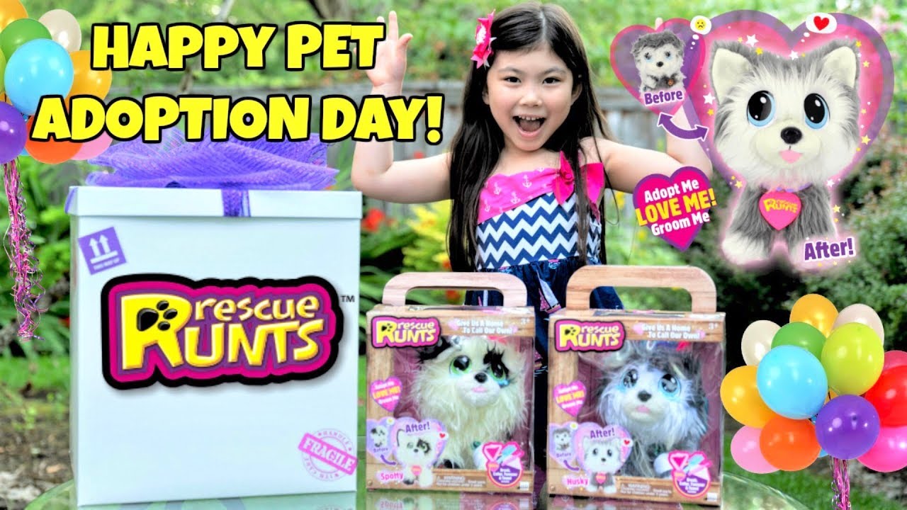 SURPRISE PACKAGE from RESCUE RUNTS!! 🐶🎉 Pet Adoption Day Party ...