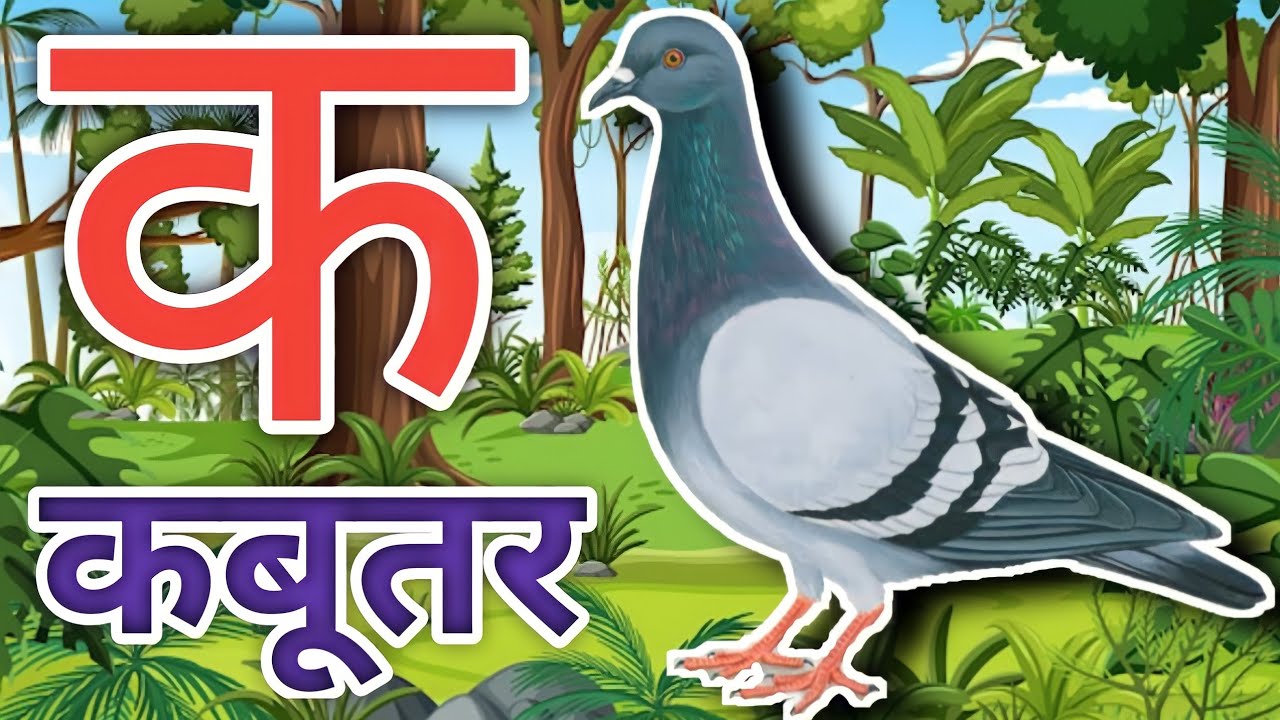 क से कबूतर, ख से खरगोश, हिन्दी वर्णमाला, कखग, a se anar, ka se kabitar ...