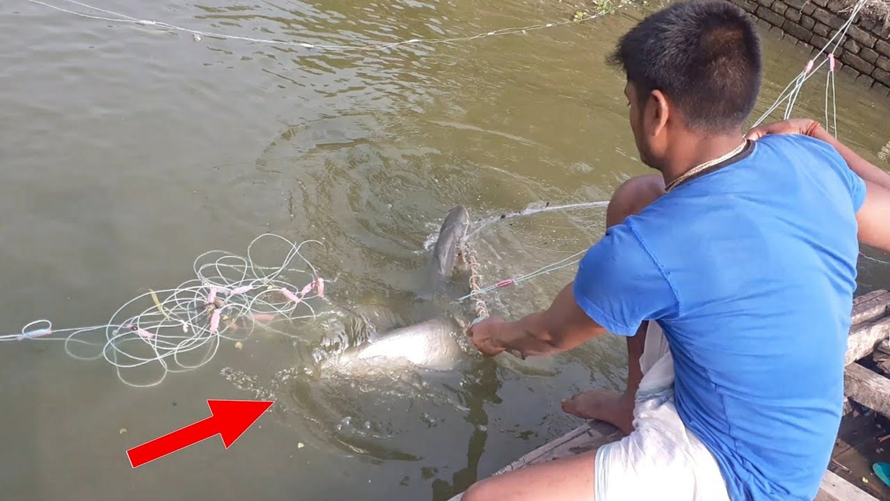 Amazing Gill Net/Current Net Fishing in the village river | Gill Net ...