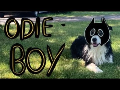 Odie Ba-Bodie: Adventures of Odie-Boy - YouTube