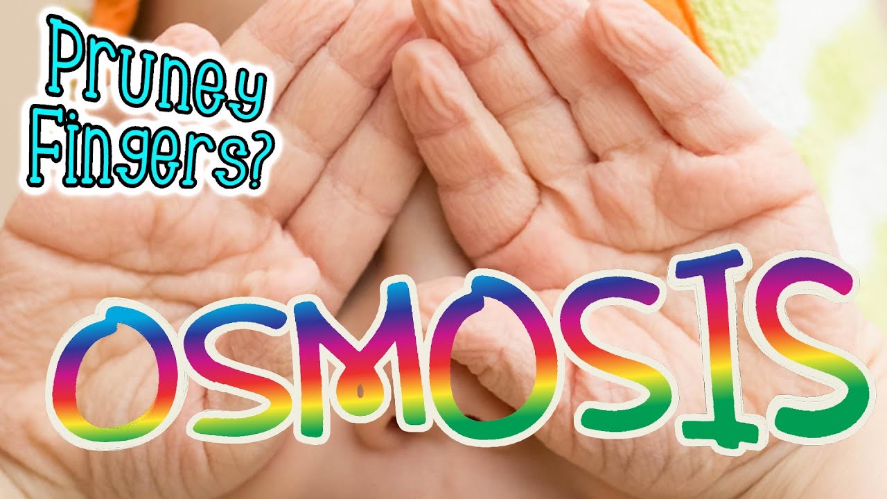 Pruney Fingers Think Osmosis What Is Osmosis YouTube pruney-fingers-think-osmosis-what-is-osmosis-youtube