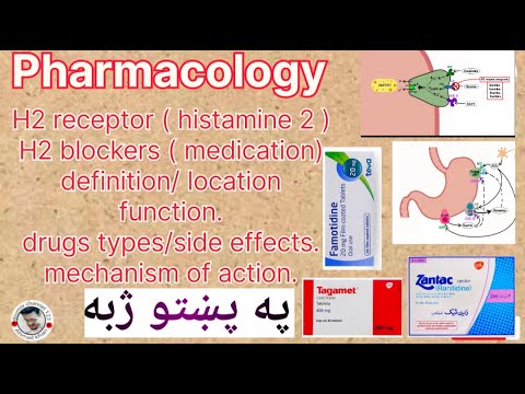H2 blockers/ H2 receptor histamine 2 definition types mechanism of ...