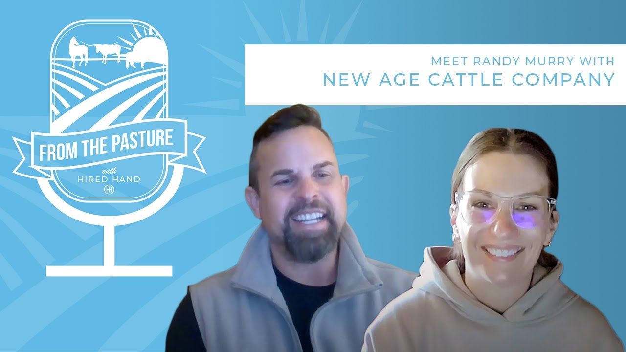 New Age Cattle Company: From the Pasture with Hired Hand - YouTube