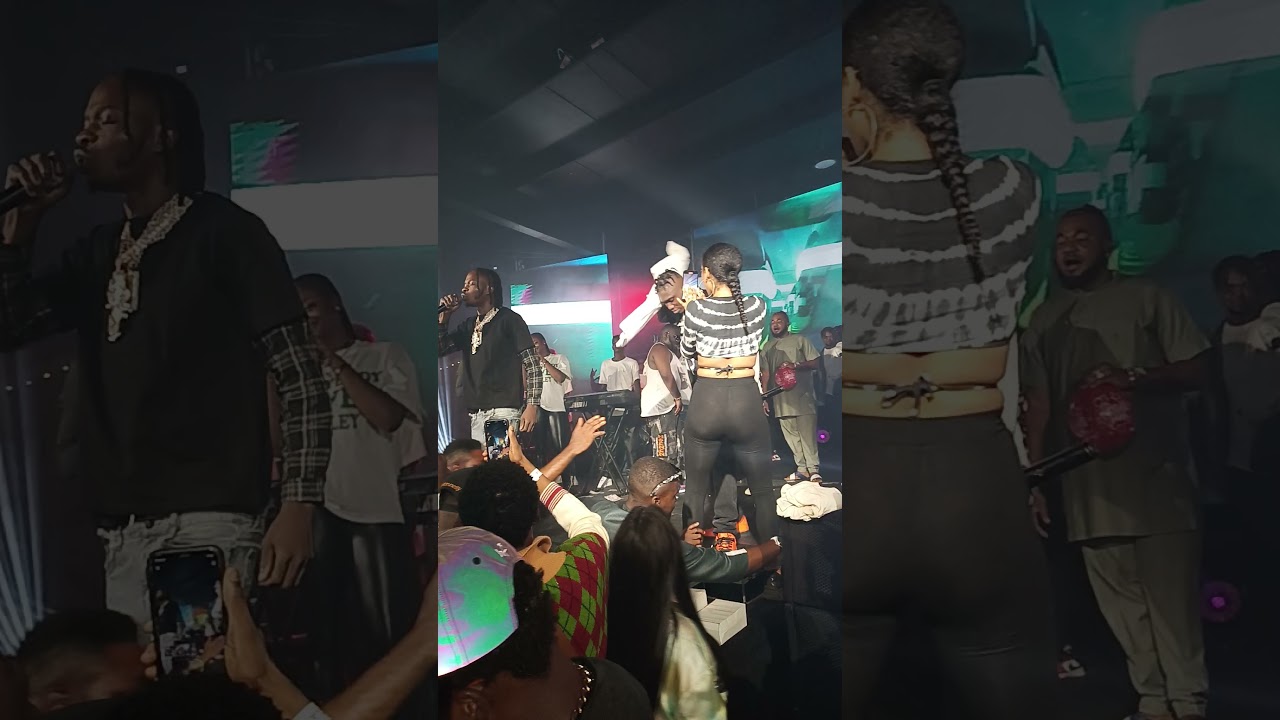 NAIRA MARLEY, BELLA SHMURDA, ZLATAN IBILE, BADBOD TIMZ PERFORM AT ...