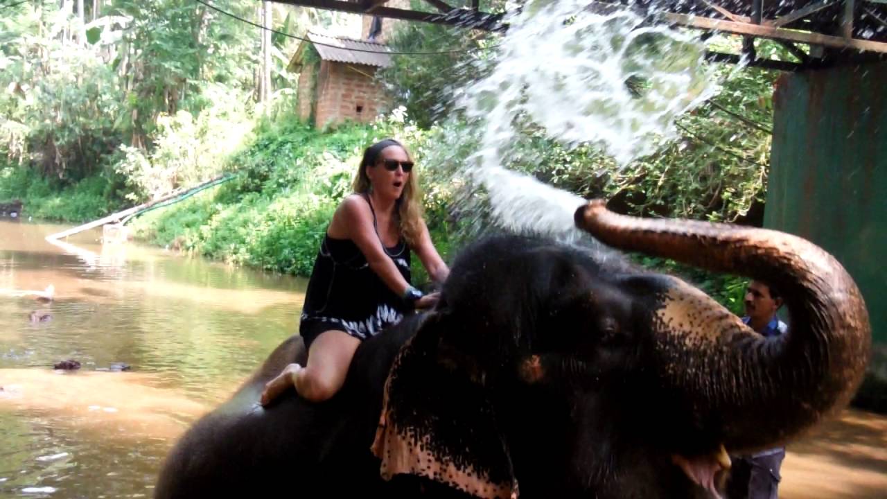 Getting a wash by the Elephants in Goa - YouTube