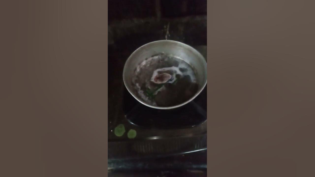 Merebus Ikan Tongkol Untuk Di Makan Cobain Gays Enak Banget Youtube