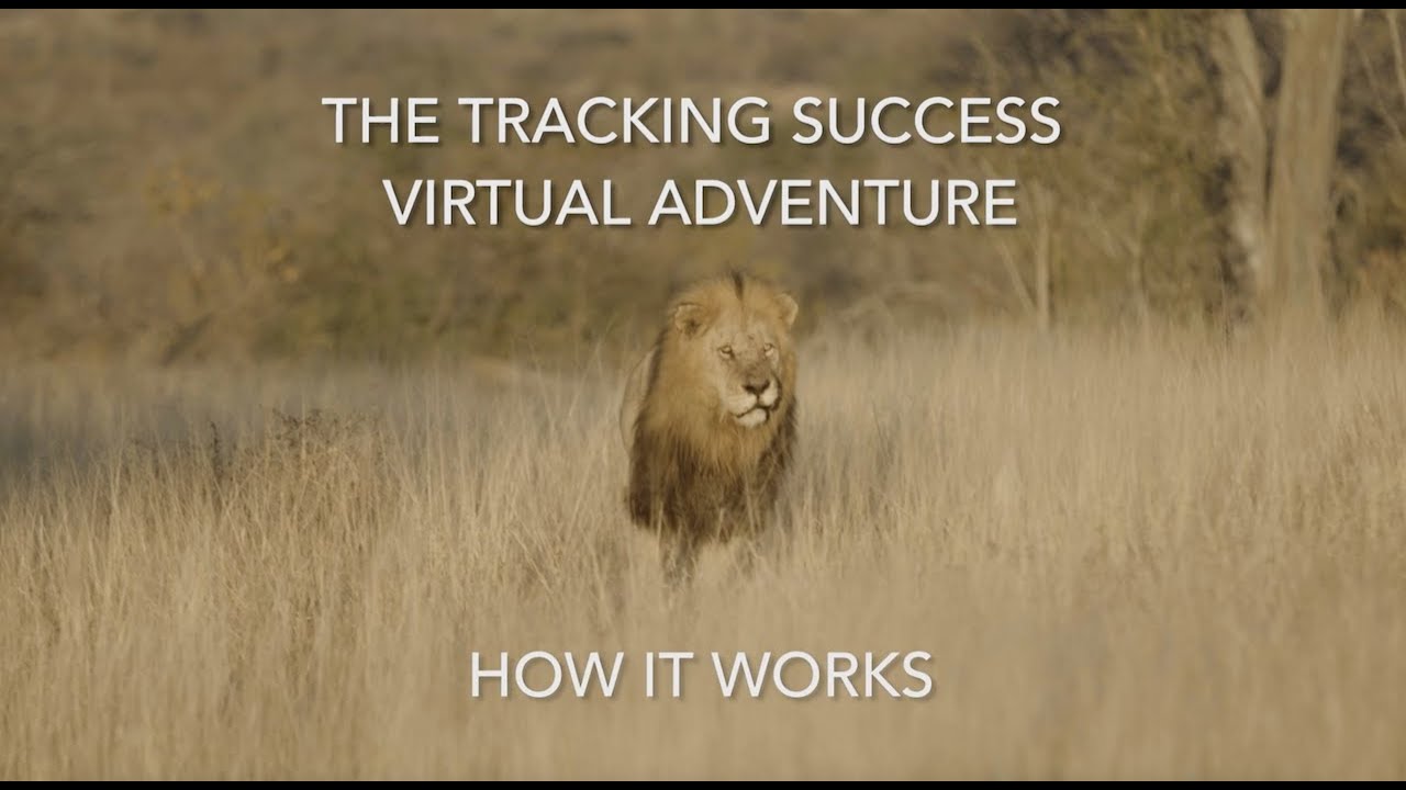 How a Virtual Adventure Works 2024 - YouTube