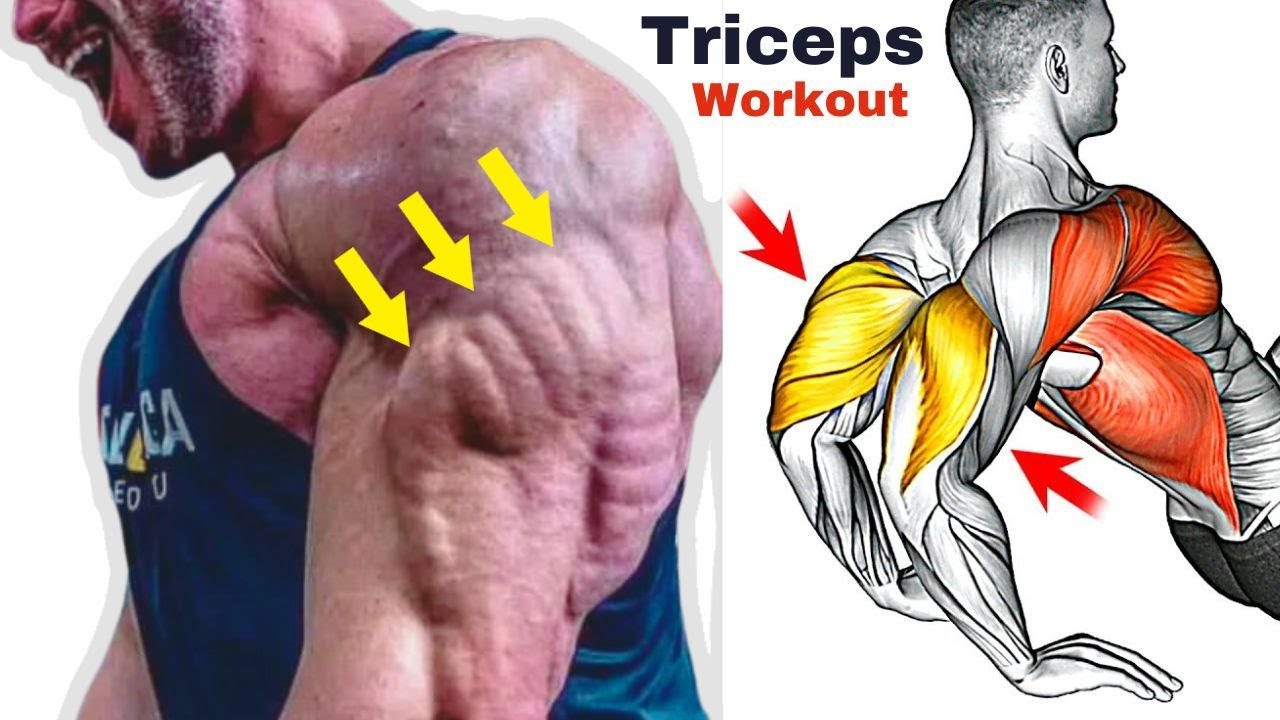 6 Perfect Triceps Exercises GET Huge Arms (Fast) | Triceps Workout at ...
