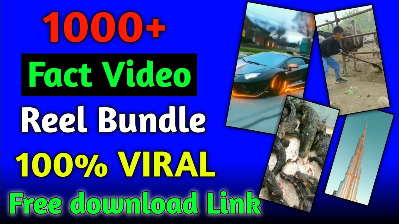 Free 2000+ Fact Reels Bundle Download Copyright Free | Hindi Fact Reel ...