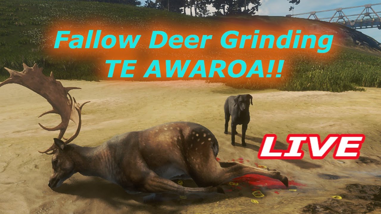 Fallow Deer GREAT ONE Grinding Journey at Te Awaroa Map. GREAT ONE ...