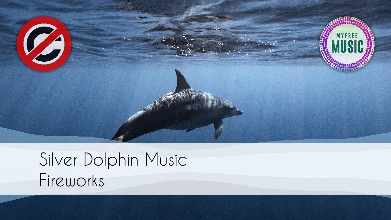 Silver Dolphin Music - Fireworks - YouTube