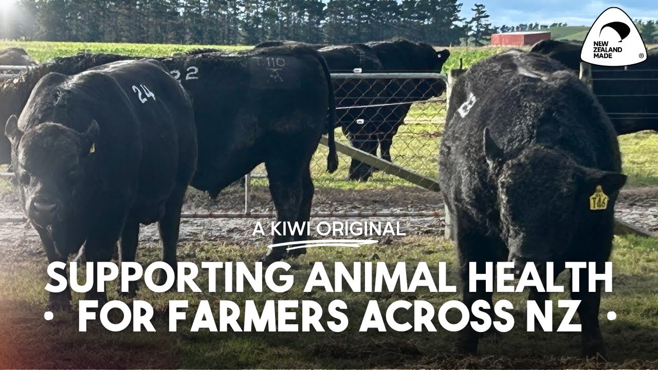 A Kiwi Original - Richard Kettle | Animal Health Direct (AHD) - YouTube