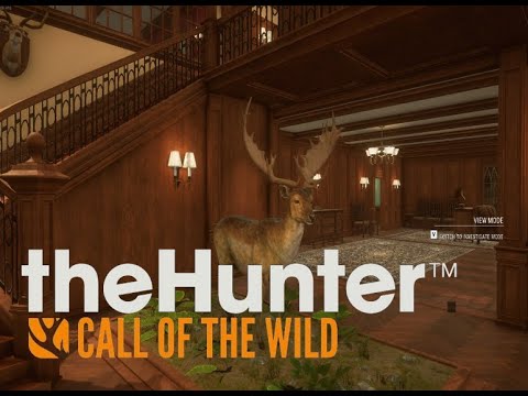 Grind for my first diamond Fallow Deer: The Hunter: Call Of The Wild ...