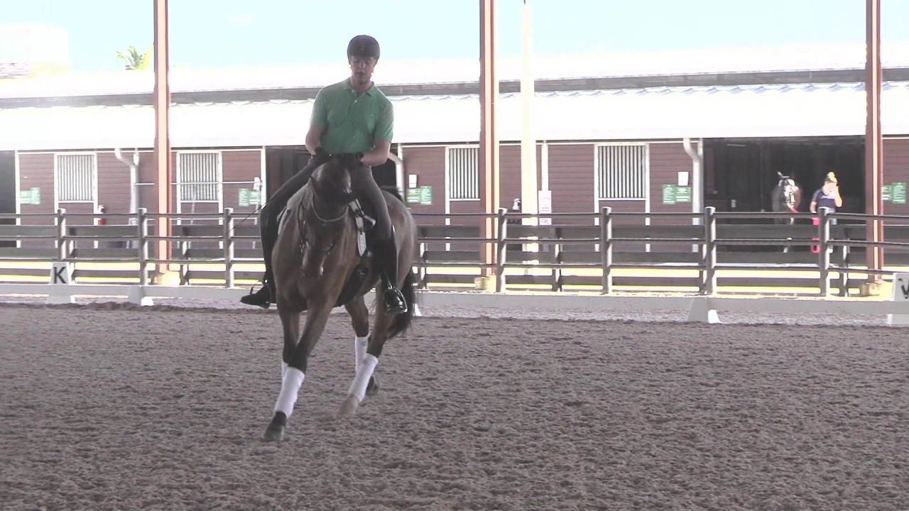 Michael Barisone: Fundamentals of Forward in Dressage - YouTube
