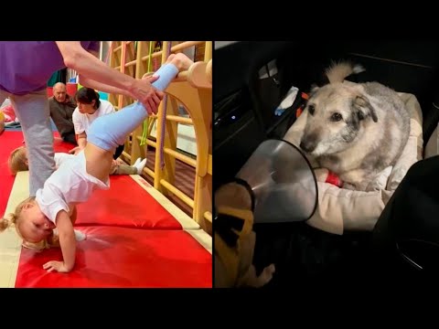 Ольга Орлова показала как дочка Анюта занимается в спортзале/Дина и Луфи у стоматолога
