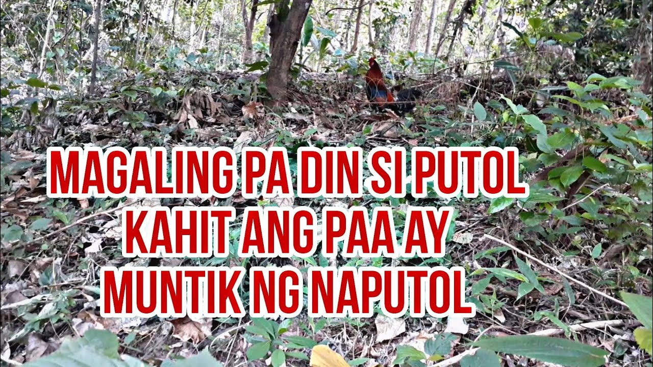 IBA TALAGA PAG SI PUTOL ANG AKING DALA. - YouTube