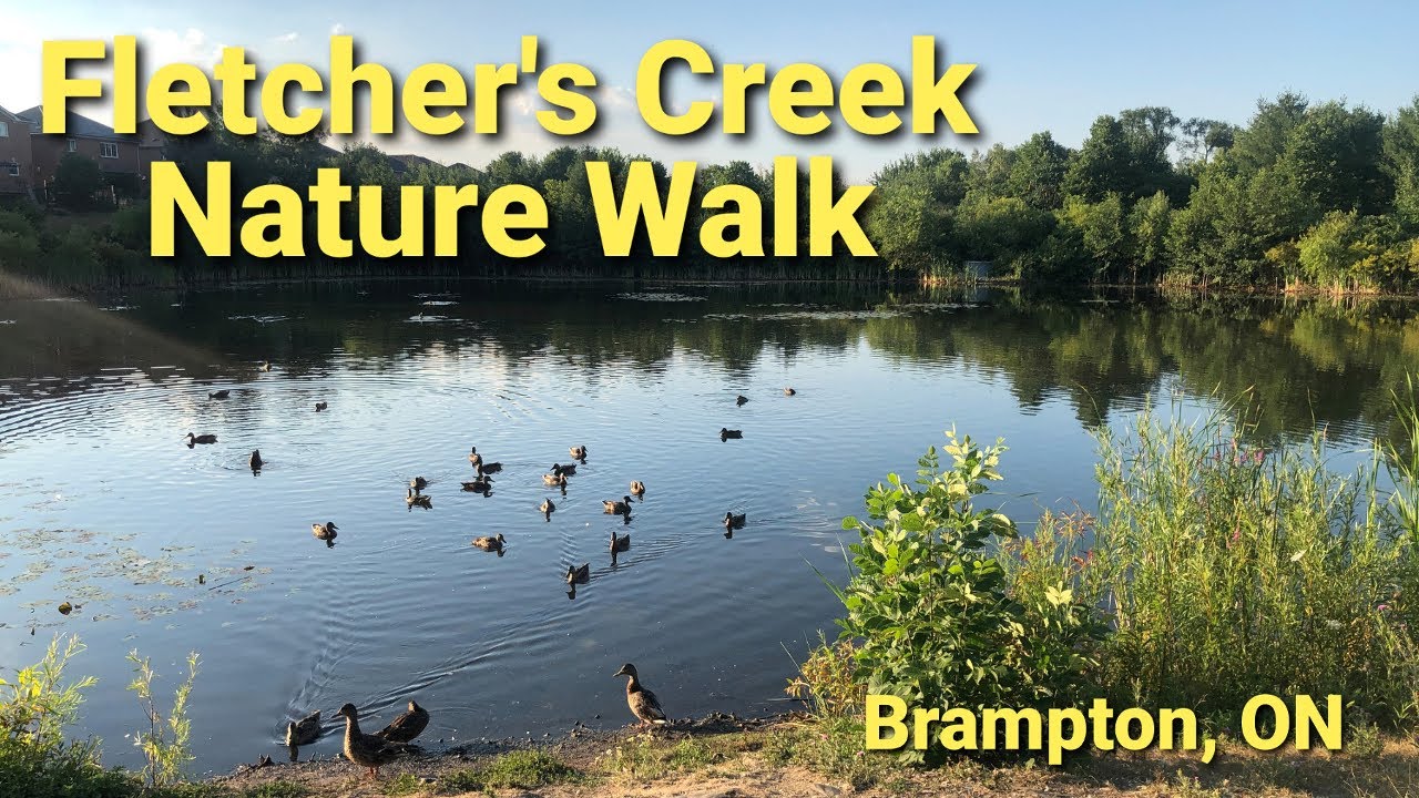 Toronto Suburb Series: Fletcher's Creek Nature Walk (HD) - YouTube