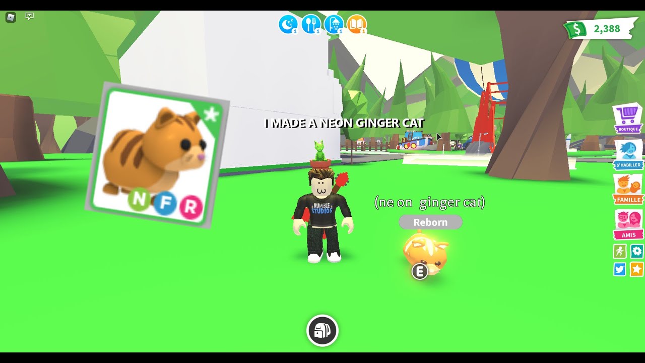 I MADE A NEON GINGER CAT ON ADOPT ME!! - YouTube