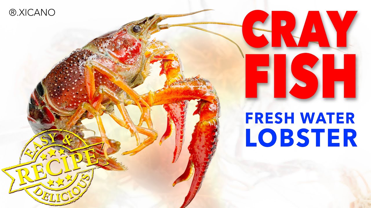 DELICIOUS CRAYFISH RECIPE - YouTube