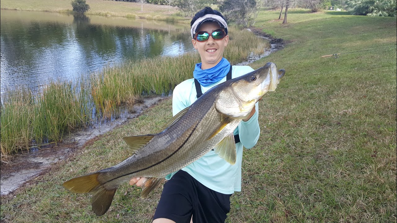 New Personal Best SNOOK From a TINY POND!!! - YouTube