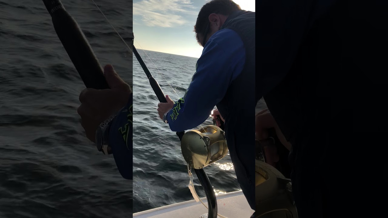 FAT TUNA CHARTERS GLOUCESTER MA 1 - YouTube