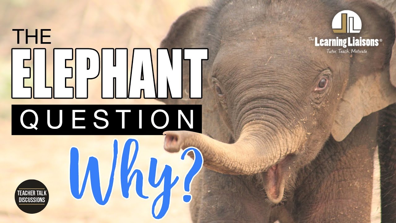 The Elephant Question | Why do I have to take teacher certification ...