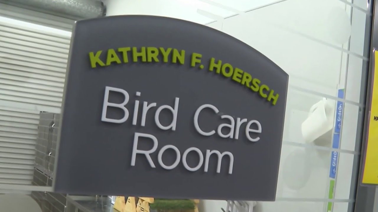 San Diego Humane Society taking precautions amid bird flu | NBC 7 San ...