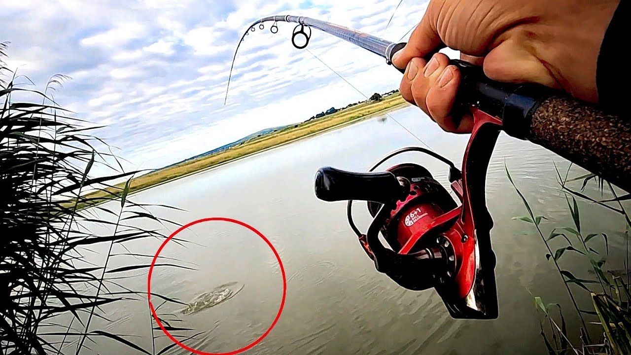 SIRETUL A FOST DARNIC DUPA CE AM NADIT AGRESIV (Ce dril la method ...