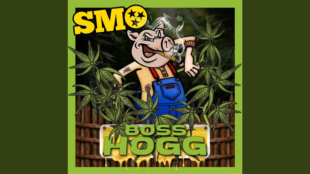 BOSS HOGG - YouTube Music