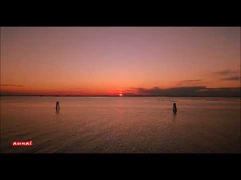 ✨ Umut Kapısı - Gürkan Özer (Kaliteli Plak Kayıt) 🌼