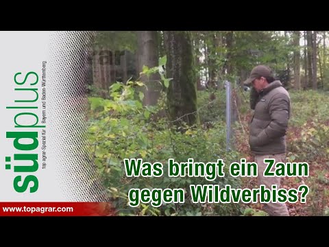 Zaun oder nicht Zaun? Forst-Tipps vonThomas, Folge 1