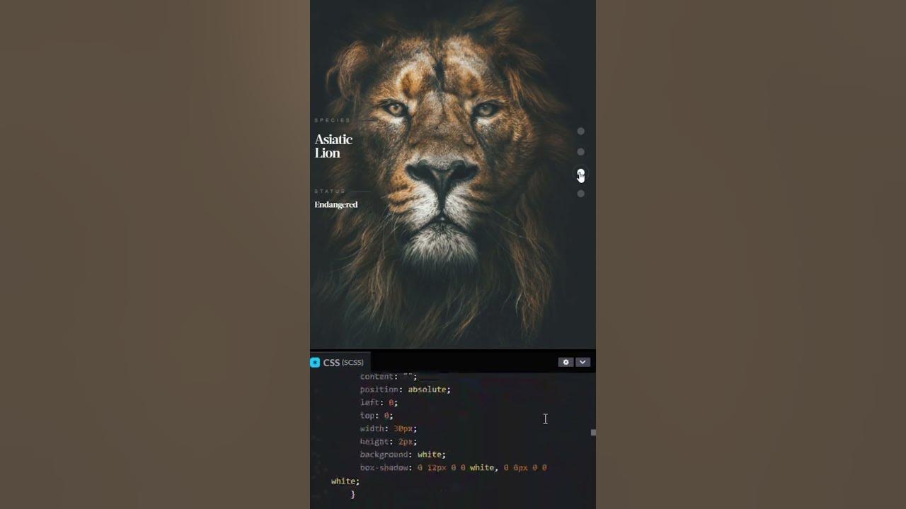 Distortion Slider Using Htlm Css Javascript 🧑‍💻javascriptdeveloper
