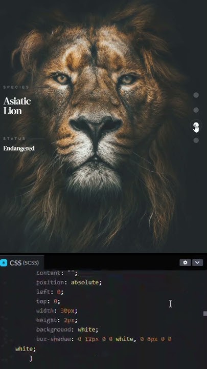 Distortion Slider using Htlm CSS JavaScript 🧑‍💻#javascriptdeveloper #music #javascript #html # ...