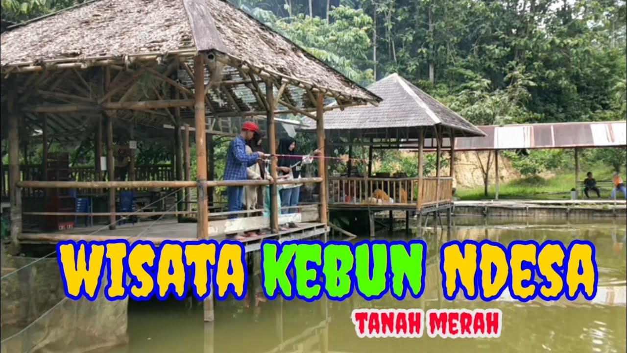 village garden tour || Wisata kebun desa tanah merah - YouTube