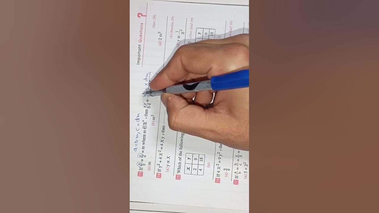 Unit 2 Algebra Prep 3 First term - YouTube