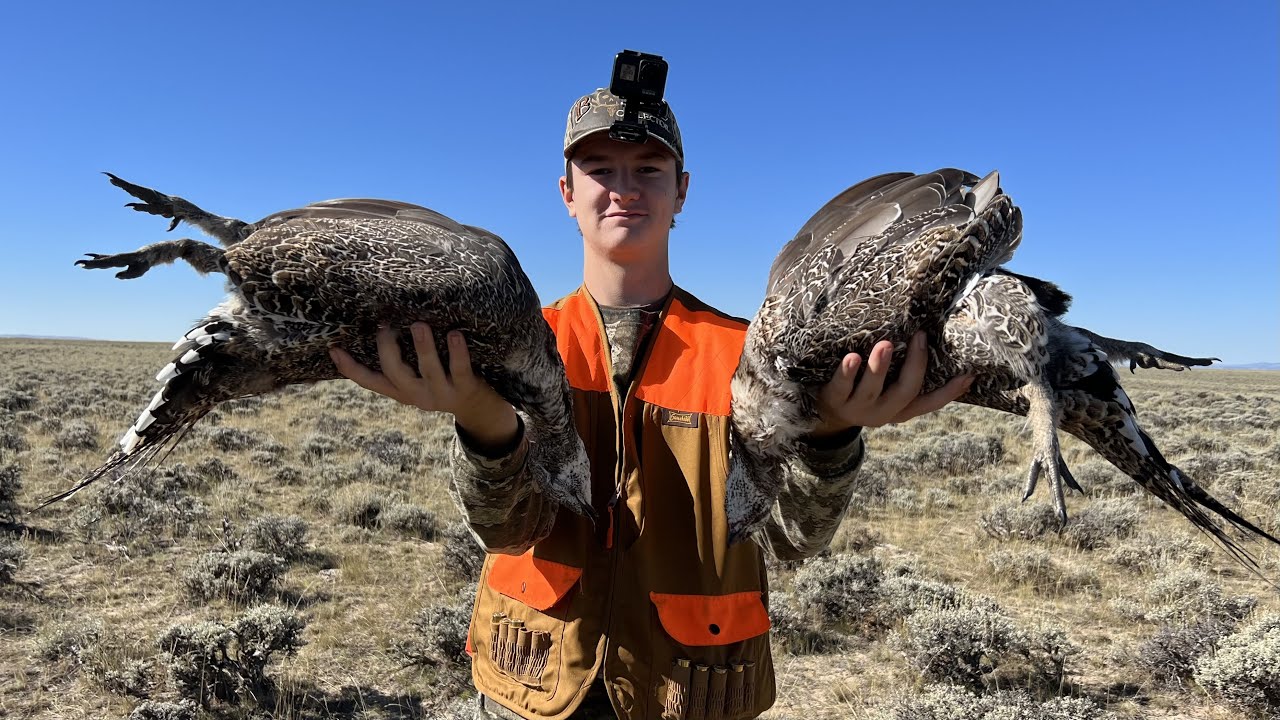 Hunting the Largest Grouse in America... (Limited Out) - YouTube