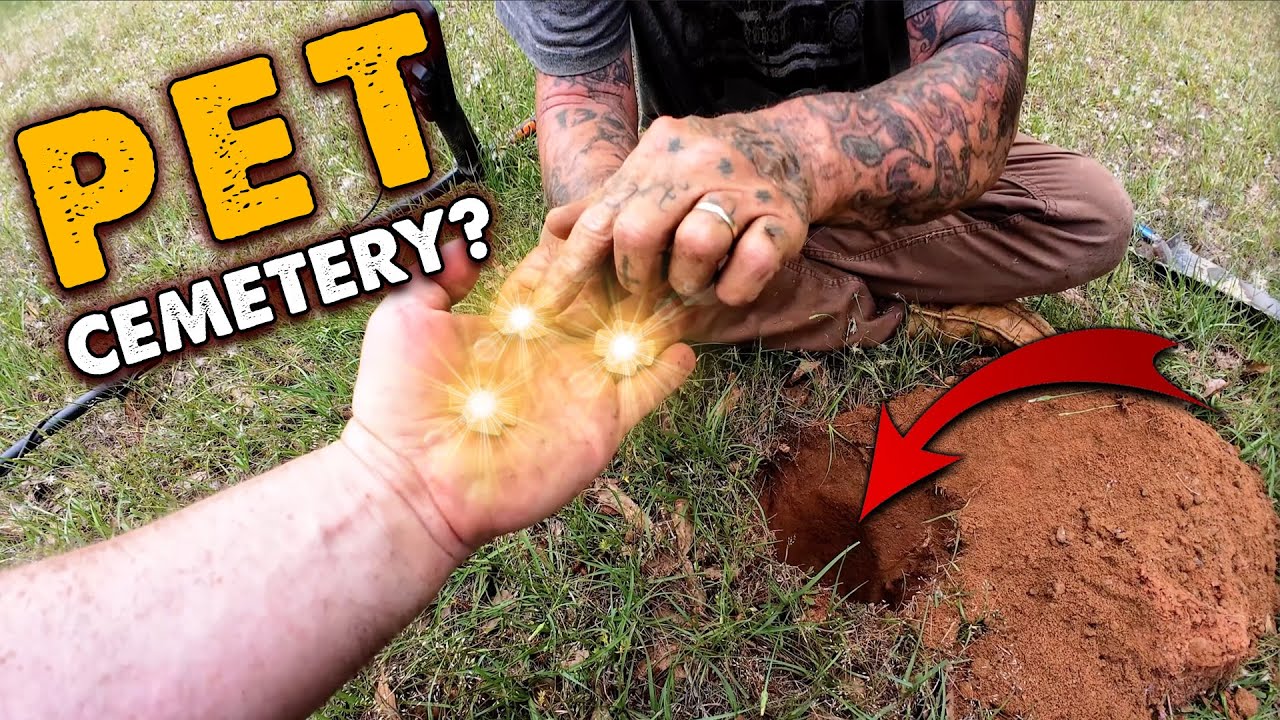 Metal Detecting GONE WRONG, Did We Accidentally Stumble Upon A PET ...