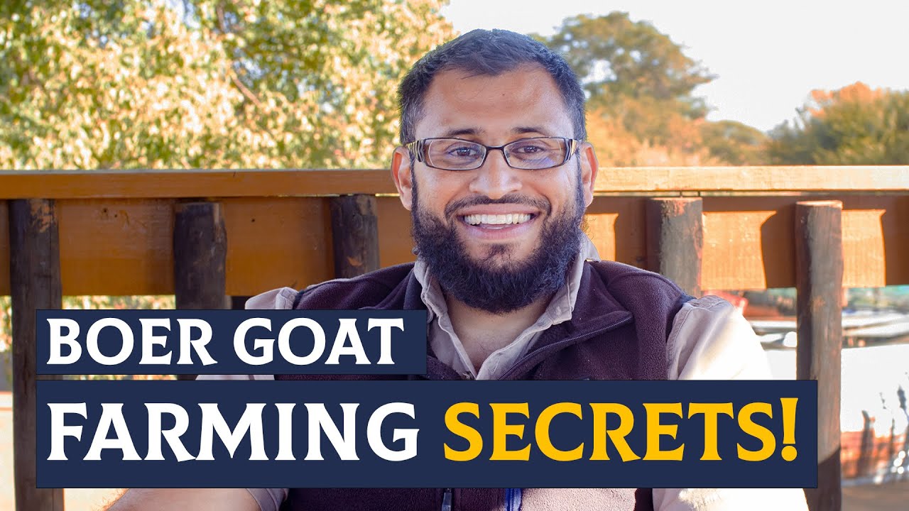 How To Be Successful in Boer Goat Farming (Beginner's Guide) - YouTube
