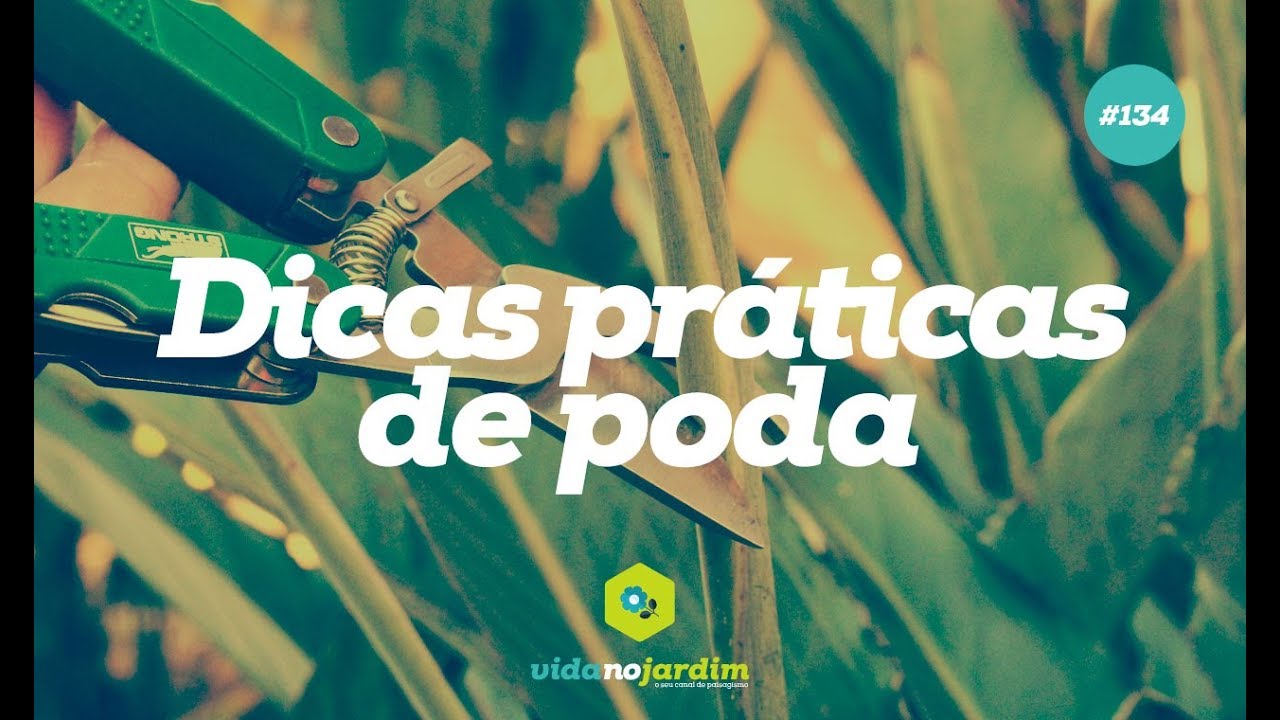 Dicas práticas de poda - YouTube