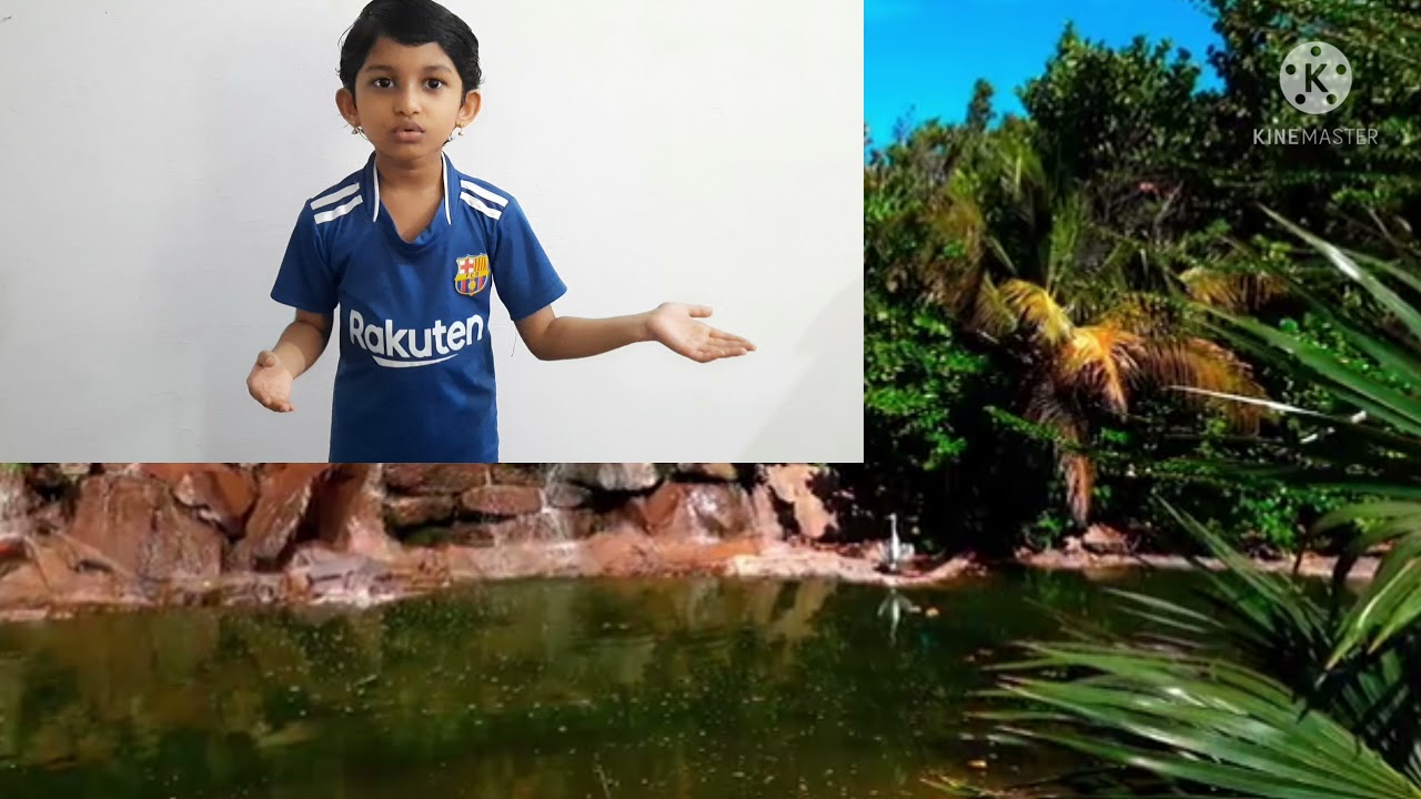 The Paddling Pool | IInd std.| Poem| English| - YouTube