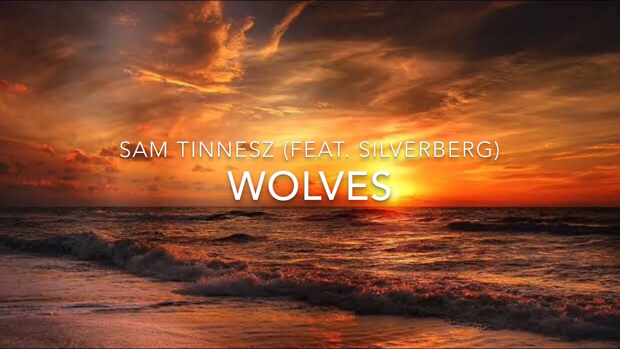 Sam Tinnesz (feat. Silverberg) - Wolves - Lyrics - YouTube