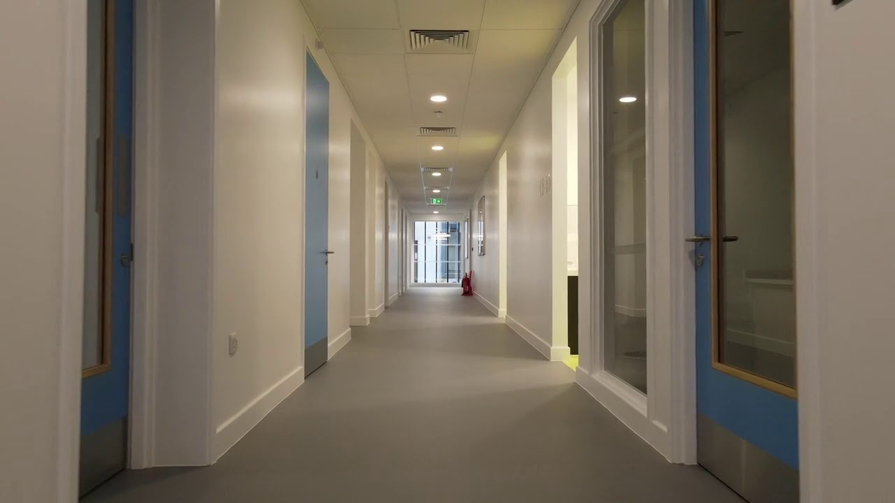 Ark Soane Walkthrough - YouTube