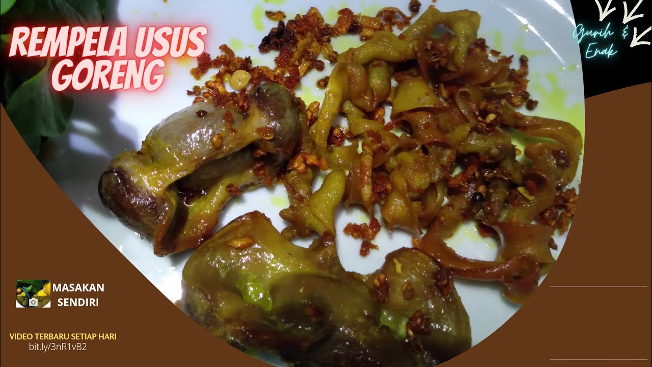 REMPELA USUS GORENG - YouTube