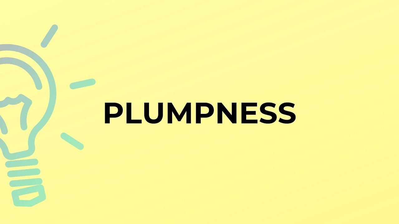 What is the meaning of the word PLUMPNESS? - YouTube