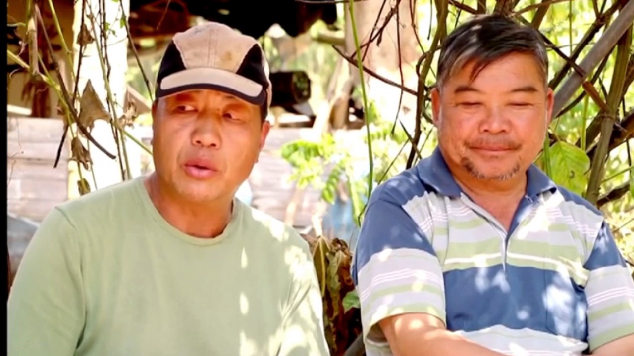 hmong movies 2016 - YouTube