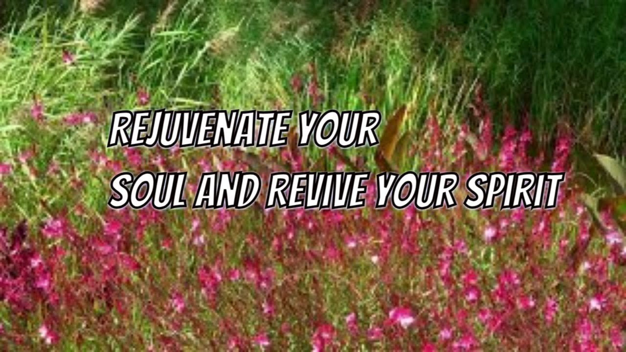 Spiritual Healing Music Revive Your Spirit - YouTube