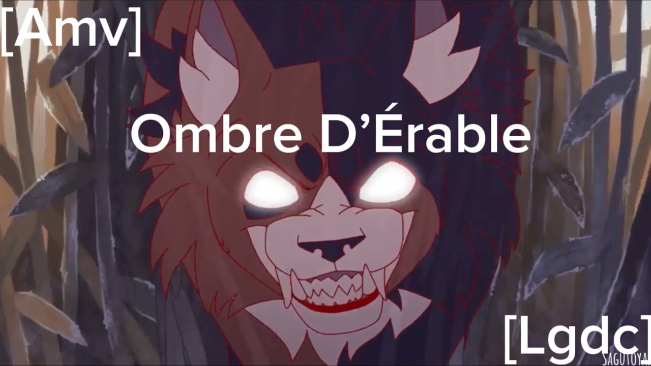[Amv] Ombre D’Érable-Darkside [Lgdc] - YouTube