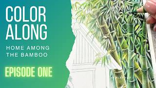 🐼 Home among the Bamboo | Ep.1 How to Color Bamboo  | Colored Pencils | Color Along with Shirley Yao