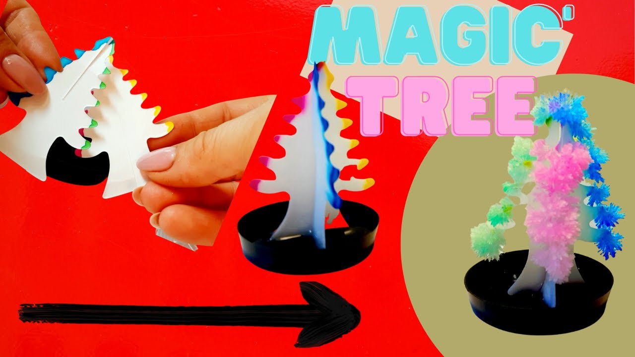 Magic Tree - YouTube