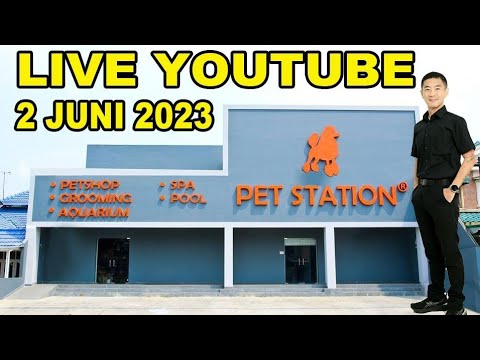 Bobby Sant Live Dari Pet Station BSD City - YouTube